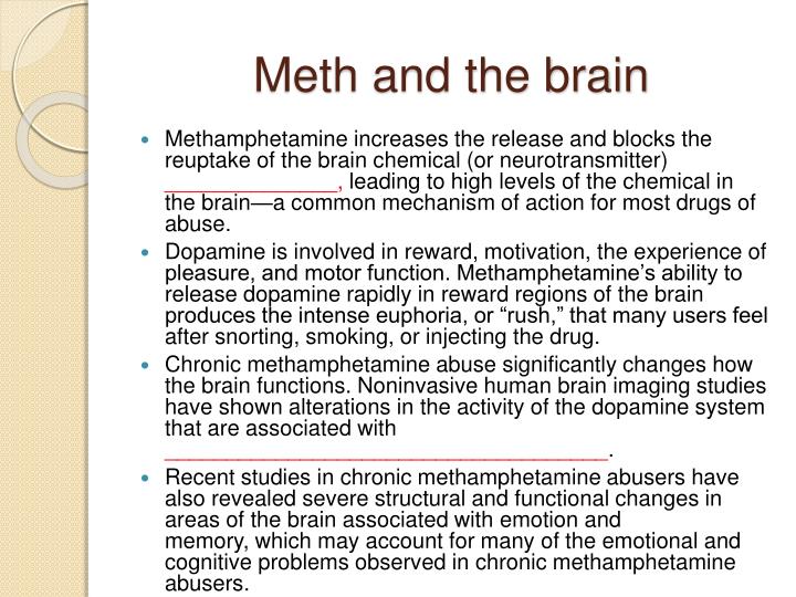 PPT - Methamphetamine PowerPoint Presentation - ID:520562