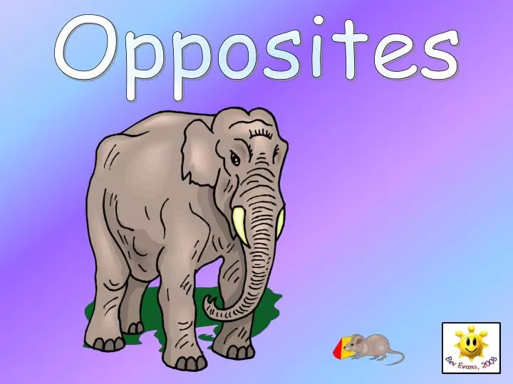 PPT - Opposites PowerPoint Presentation, free download - ID:521056
