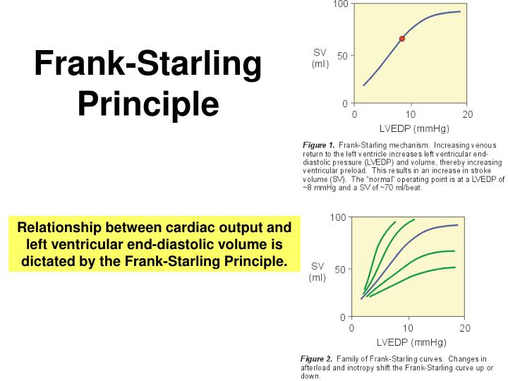 PPT - Left Ventricular Function Frank-Starling Principle Left ...