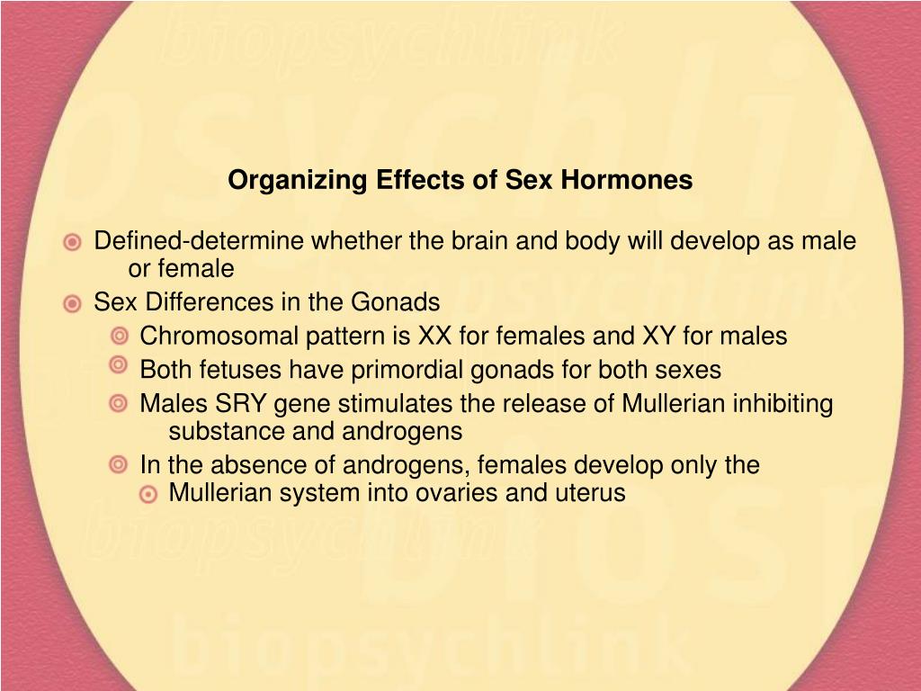 Ppt Chapter Eleven Reproductive Behaviors Powerpoint Presentation