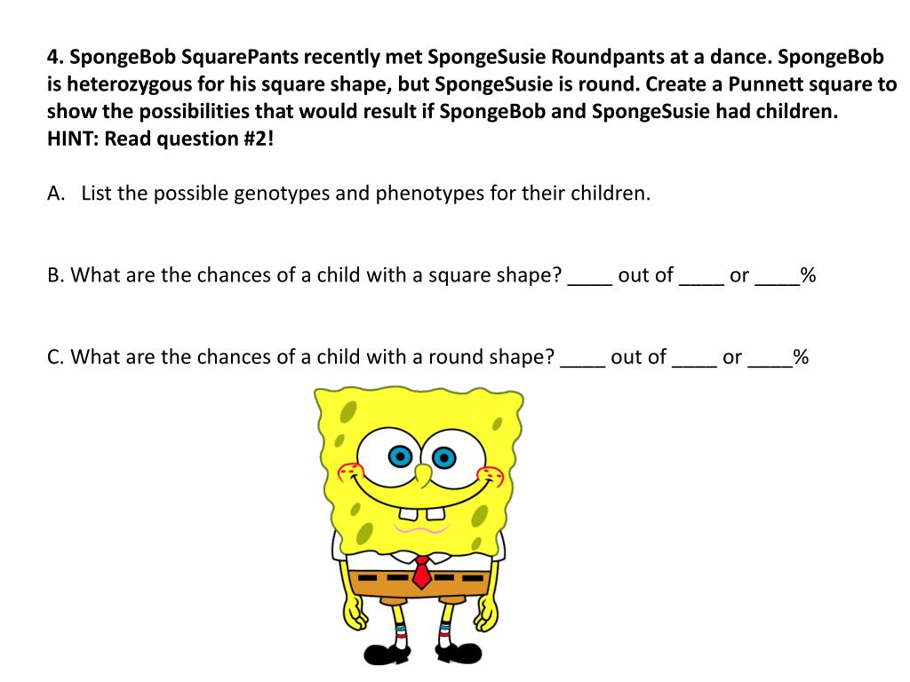 Punnett Square Practice 3 Spongebob Squarepants Spongebob Image By Punnett Square Practice 3 Spongebob Squarepants Spongebob Image By