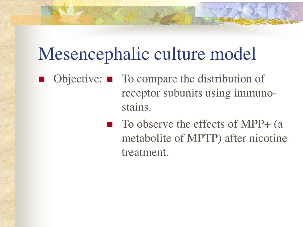 PPT - Nicotinic receptors and parkinson’s disease By: Maryka Quik and ...