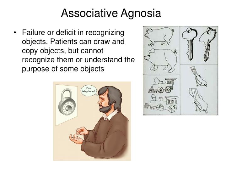 PPT - Object Perception PowerPoint Presentation - ID:5266
