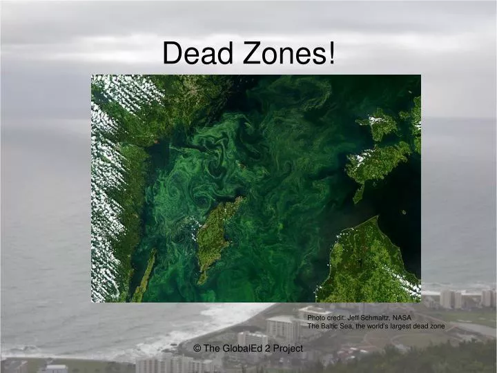 PPT - Dead Zones! PowerPoint Presentation, free download - ID:526641