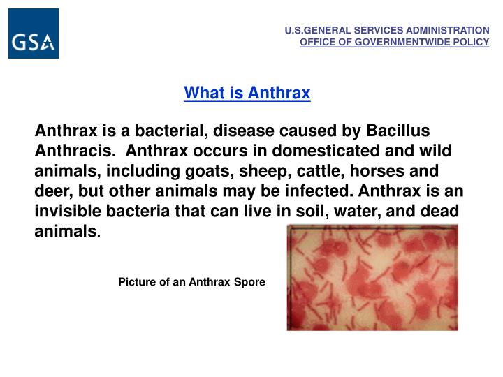 PPT - How to Respond to an Anthrax Threat Basic Briefing PowerPoint ...