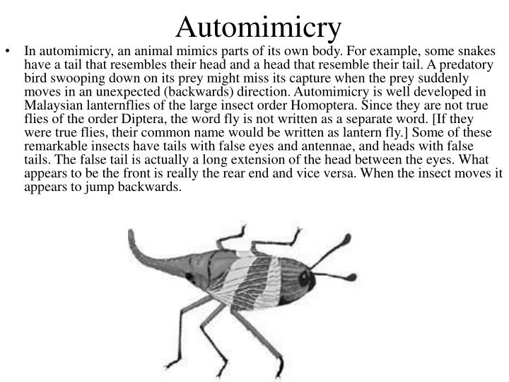 PPT - Ecology is The study of the distribution and abundance of ...