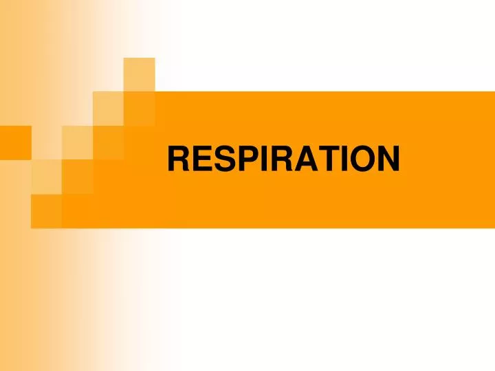 PPT - RESPIRATION PowerPoint Presentation, free download - ID:529763
