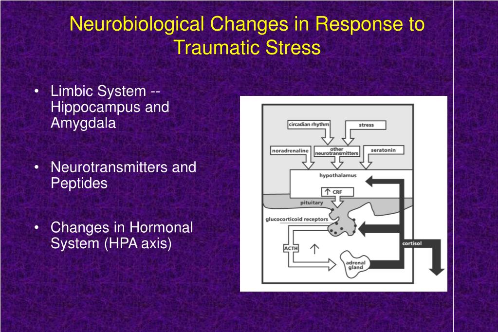 PPT - Trauma and PTSD: Issues in the Treatment of Drug-Dependent Women ...