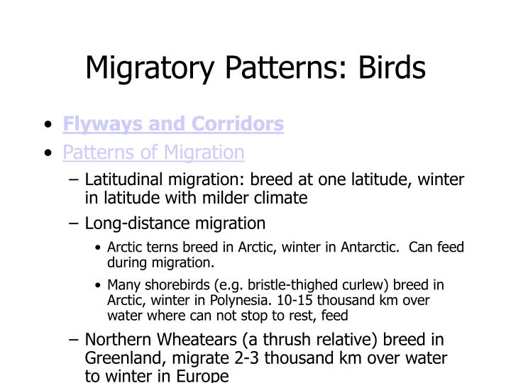 PPT - Migration: PowerPoint Presentation - ID:53748