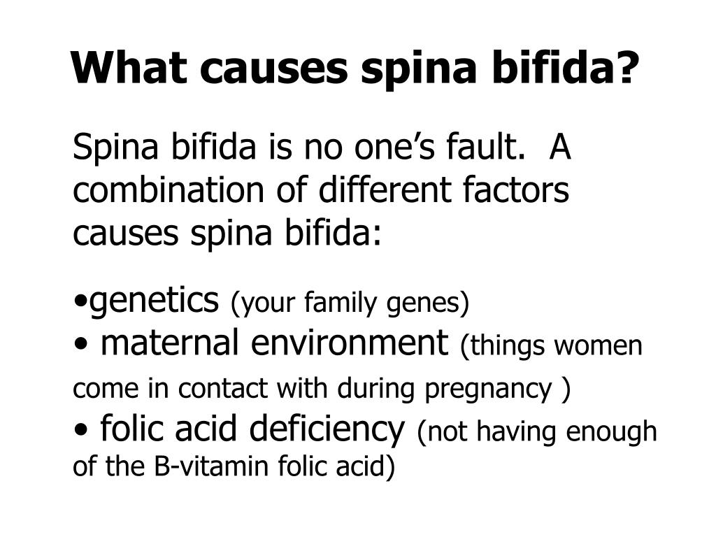 Ppt Spina Bifida Association Of America Powerpoint Presentation Free