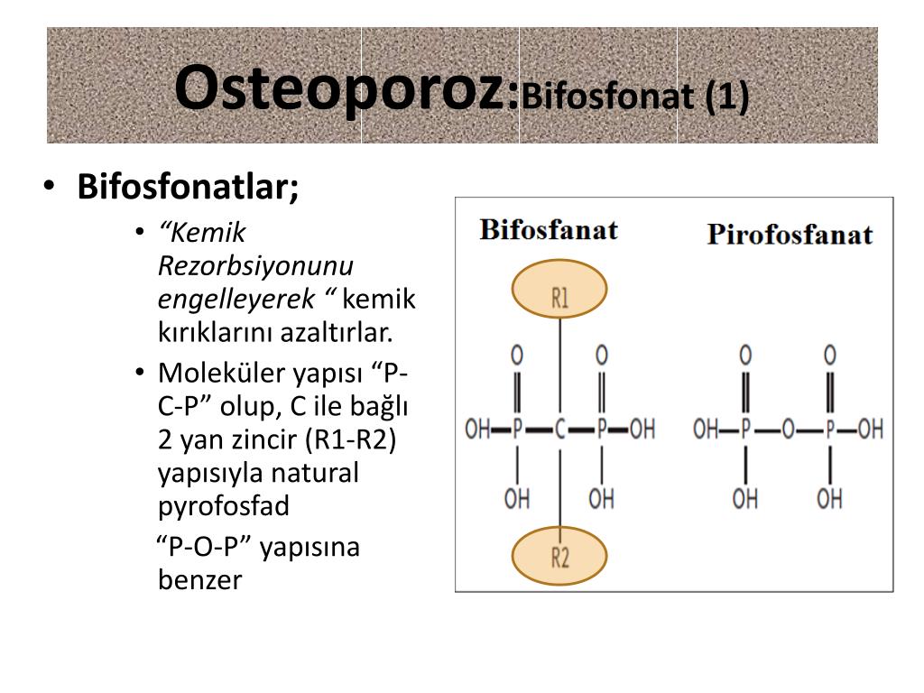 PPT - OSTEOPOROSİSİN ENGELLENMESİNDE BİFOSFONAT KULLANIMI PowerPoint ...