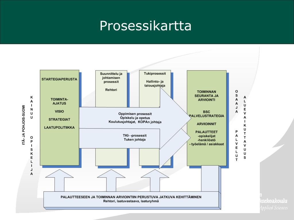 PPT - Elämää auditoinnin jälkeen Korkeakoulujen ...