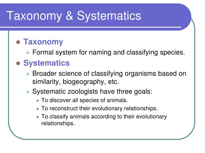 PPT - Phylogeny and Systematics PowerPoint Presentation - ID:542640