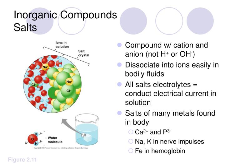 PPT - Basic Chemistry PowerPoint Presentation - ID:543152