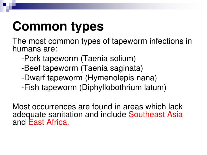 PPT - Tapeworm Infection PowerPoint Presentation - ID:545006