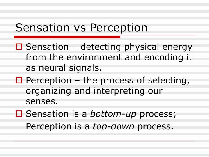 PPT - Sensation & Perception PowerPoint Presentation - ID:545032