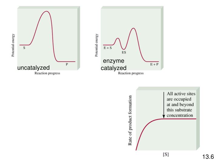 PPT - Summary of the Kinetics of Zero-Order, First-Order and Second ...