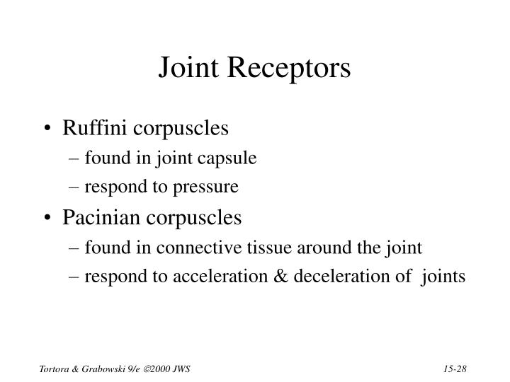 PPT - Chapter 15 Sensory, Motor & Integrative Systems PowerPoint ...