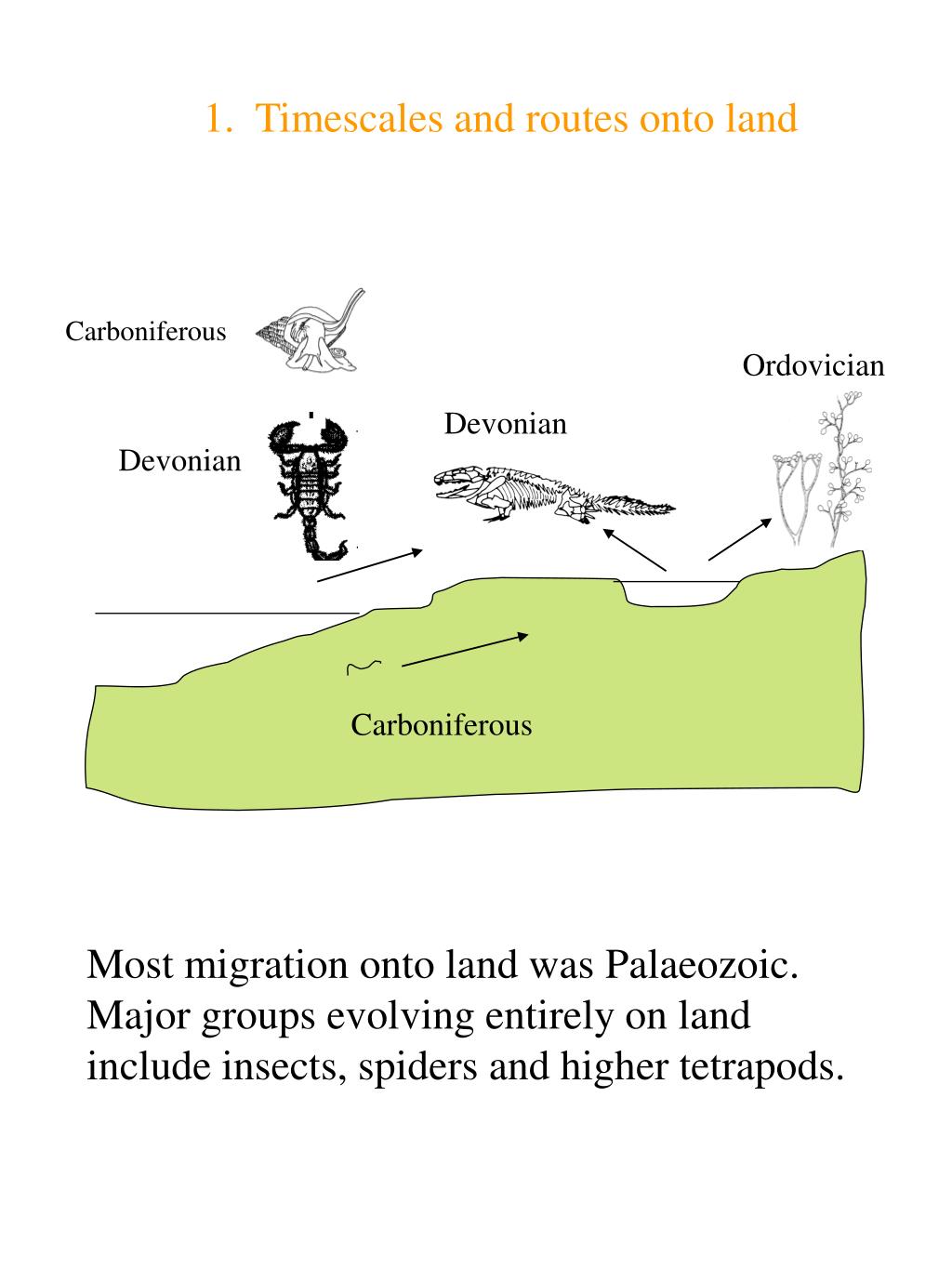 PPT - Life on Land 1. Timescales and routes onto land 2. Physiological ...