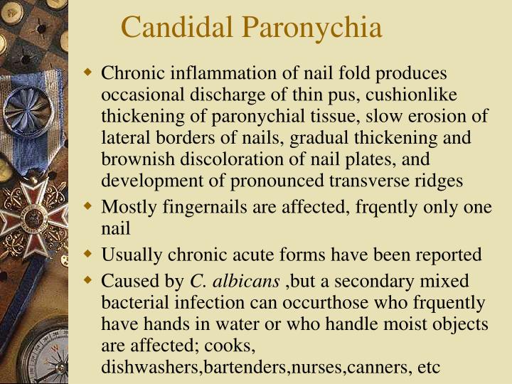 PPT - Chapter 15 Diseases Resulting from Fungi and Yeasts PowerPoint ...