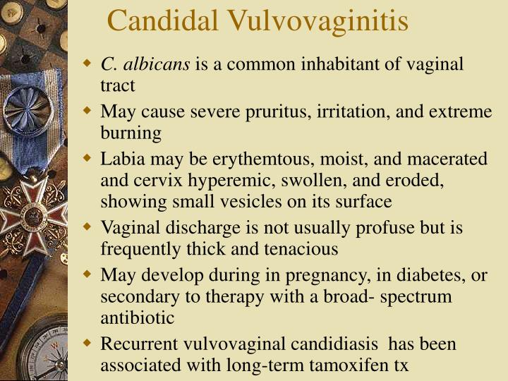 PPT - Chapter 15 Diseases Resulting from Fungi and Yeasts PowerPoint ...