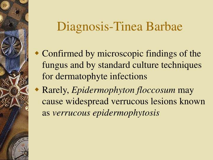 PPT - Chapter 15 Diseases Resulting from Fungi and Yeasts PowerPoint ...