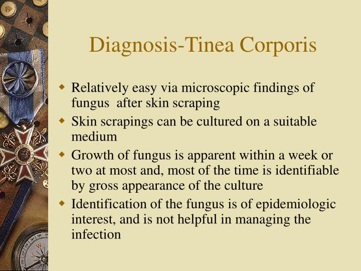 PPT - Chapter 15 Diseases Resulting from Fungi and Yeasts PowerPoint ...