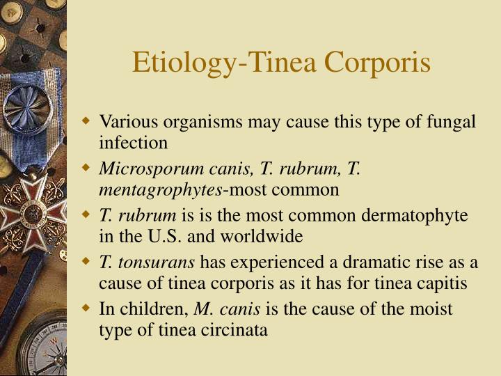 PPT - Chapter 15 Diseases Resulting from Fungi and Yeasts PowerPoint ...