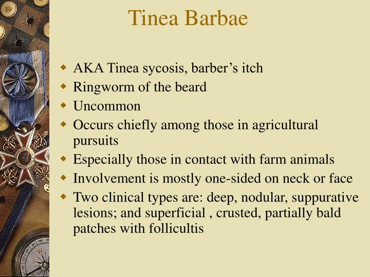 PPT - Chapter 15 Diseases Resulting from Fungi and Yeasts PowerPoint ...