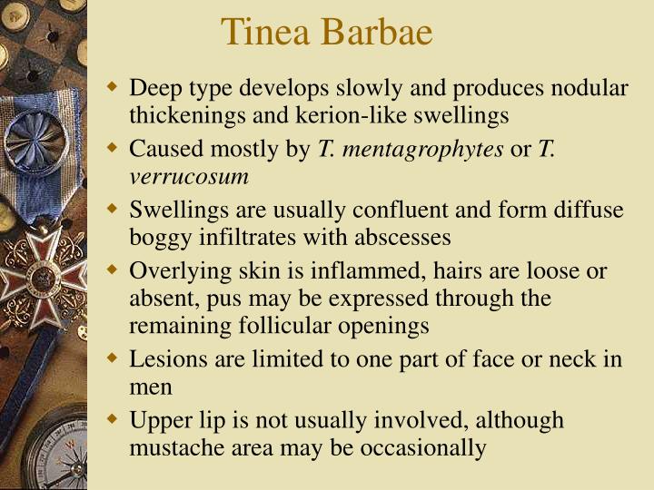 PPT - Chapter 15 Diseases Resulting from Fungi and Yeasts PowerPoint ...