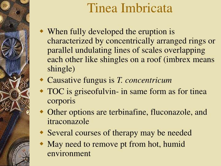 PPT - Chapter 15 Diseases Resulting from Fungi and Yeasts PowerPoint ...