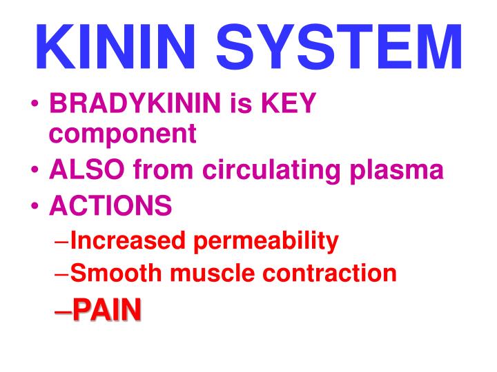 PPT - CHAPTER 2 PowerPoint Presentation - ID:548343