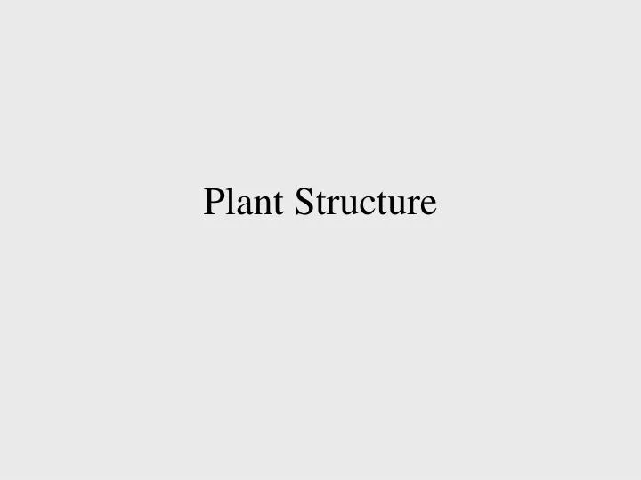 PPT - Plant Structure PowerPoint Presentation, free download - ID:548457