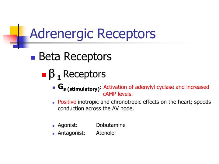 PPT - SIGNAL TRANSDUCTION BY ADRENERGIC AND CHOLINERGIC RECEPTORS ...