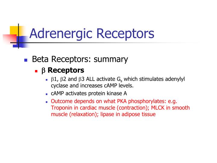 PPT - SIGNAL TRANSDUCTION BY ADRENERGIC AND CHOLINERGIC RECEPTORS ...