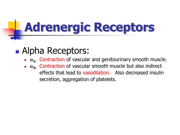 PPT - SIGNAL TRANSDUCTION BY ADRENERGIC AND CHOLINERGIC RECEPTORS ...