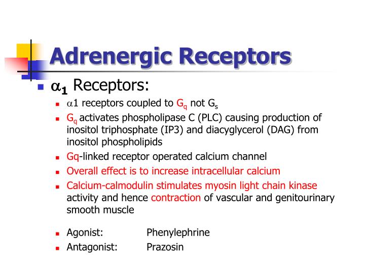 PPT - SIGNAL TRANSDUCTION BY ADRENERGIC AND CHOLINERGIC RECEPTORS ...