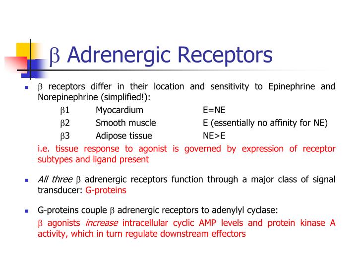 PPT - SIGNAL TRANSDUCTION BY ADRENERGIC AND CHOLINERGIC RECEPTORS ...