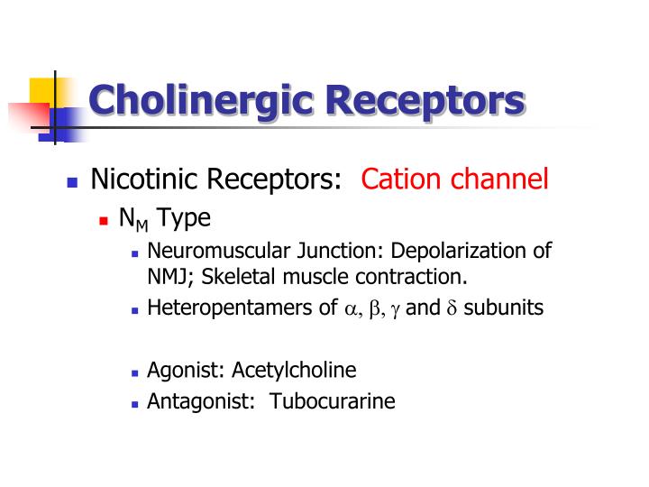 PPT - SIGNAL TRANSDUCTION BY ADRENERGIC AND CHOLINERGIC RECEPTORS ...