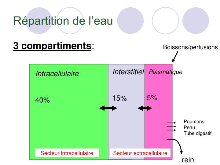 PPT - TROUBLES HYDRO-ELECTROLYTIQUES PowerPoint Presentation - ID:549737