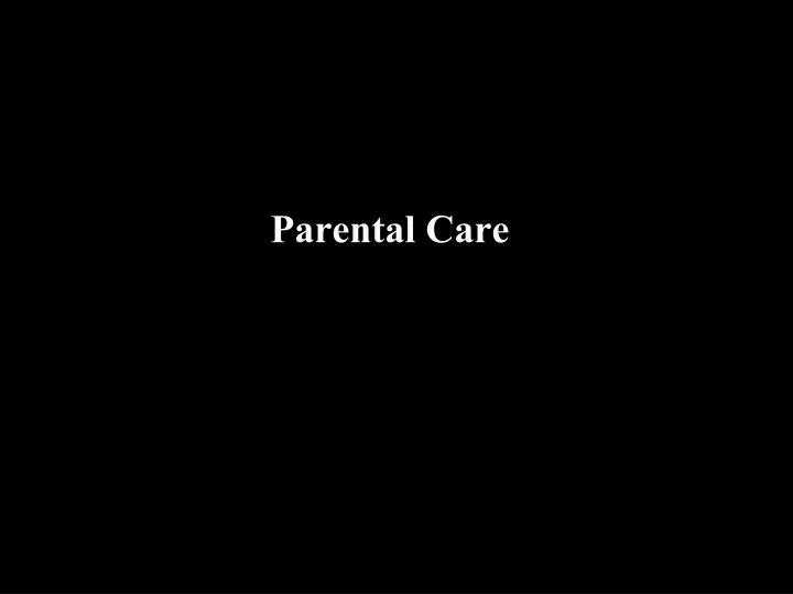 PPT - Parental Care PowerPoint Presentation, free download - ID:550289