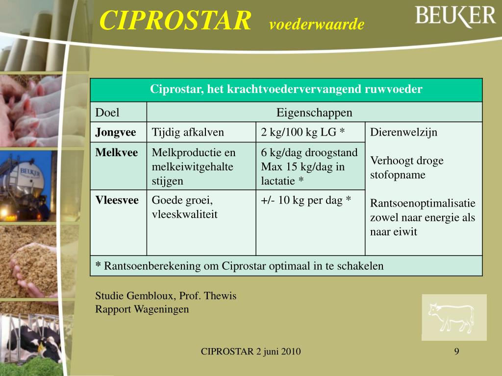 PPT - CIPROSTAR Een nieuw product voor rendementsverbetering ...