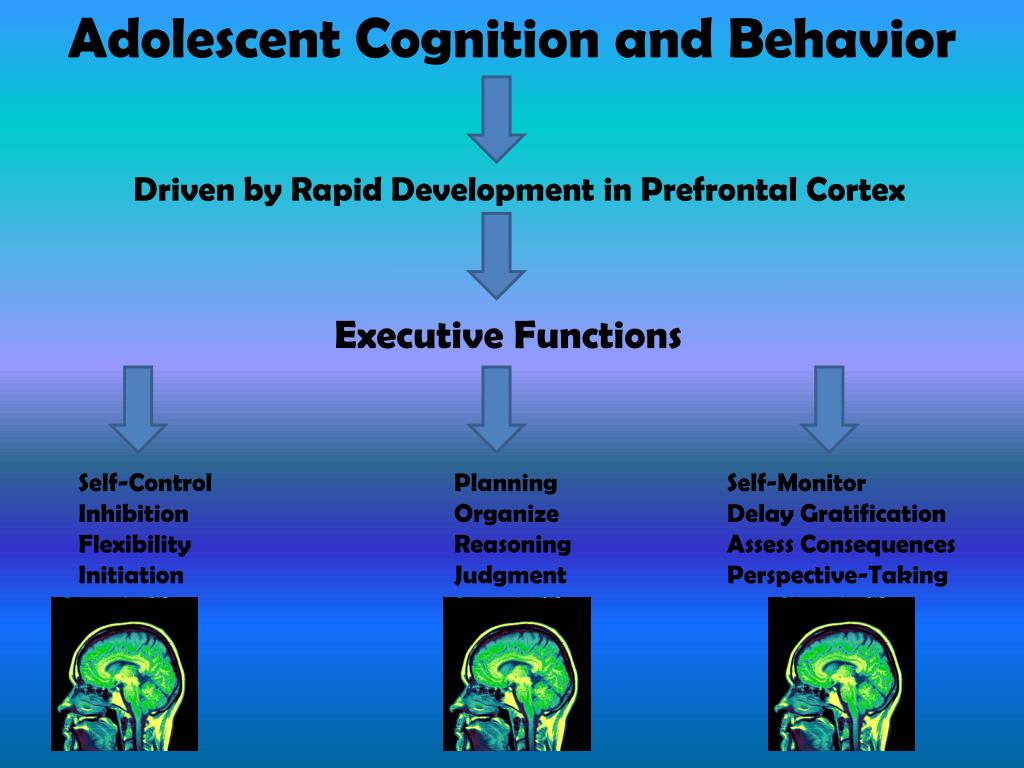 PPT - Criminal Culpability Transfer and The Teen Brain PowerPoint ...