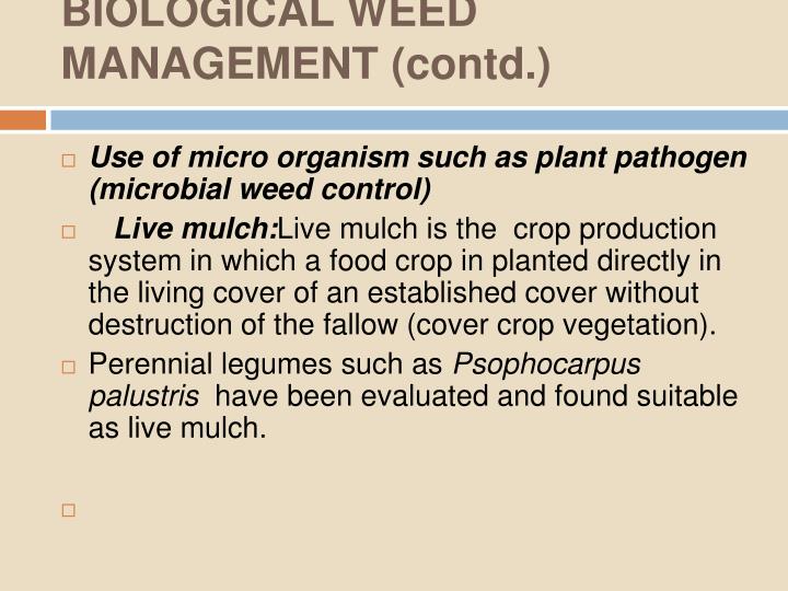 PPT - PCP 506: WEED SCIENCE AND CONTROL PowerPoint Presentation - ID:551498