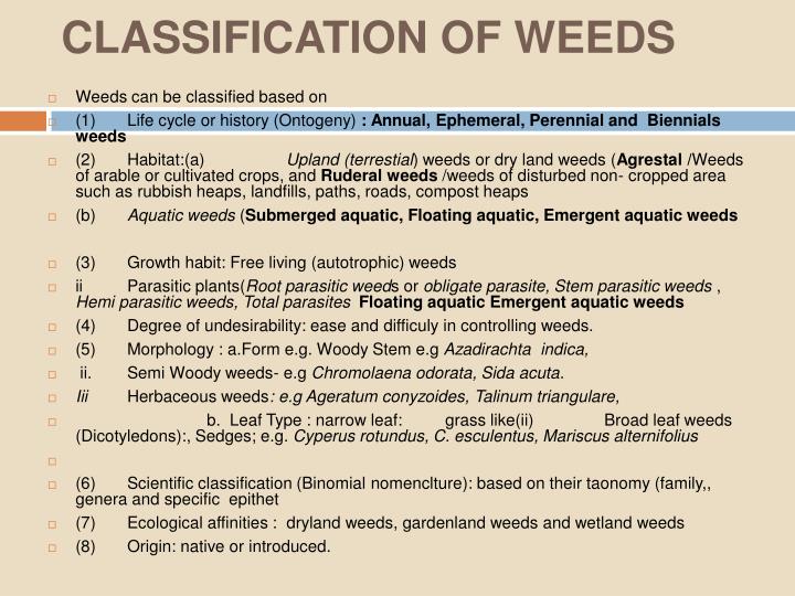 PPT - PCP 506: WEED SCIENCE AND CONTROL PowerPoint Presentation - ID:551498