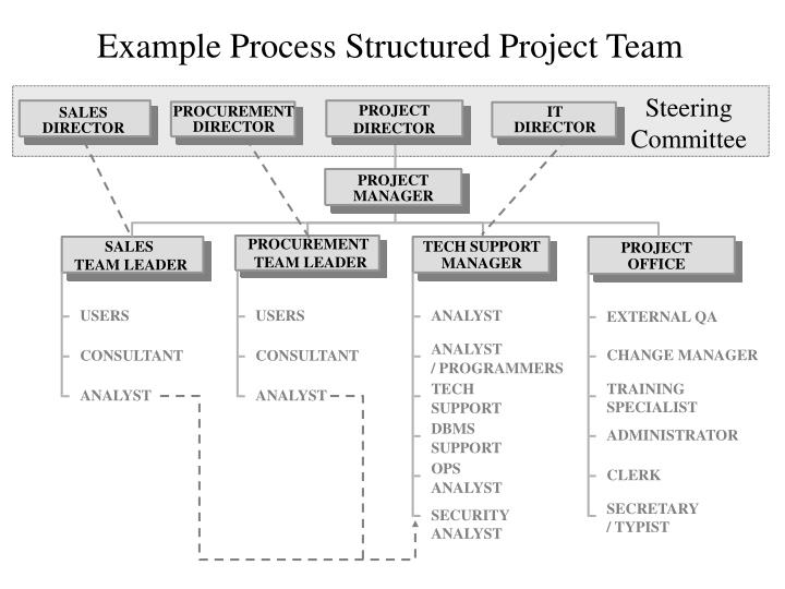 PPT - Example Process Structured Project Team PowerPoint Presentation ...