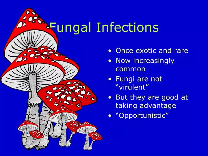 PPT - Fungal Infections PowerPoint Presentation, free download - ID:554303
