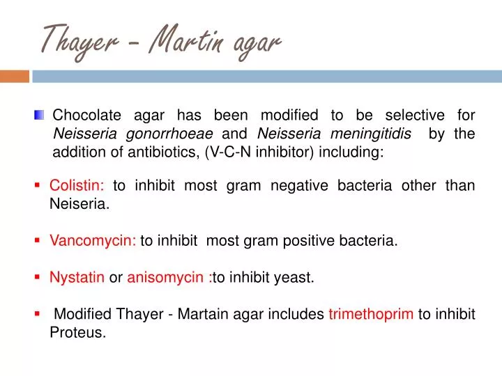 PPT - Thayer - Martin agar PowerPoint Presentation - ID:554606