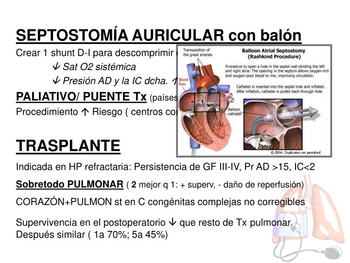 PPT - REVISIÓN HIPERTENSIÓN PULMONAR PowerPoint Presentation - ID:554714