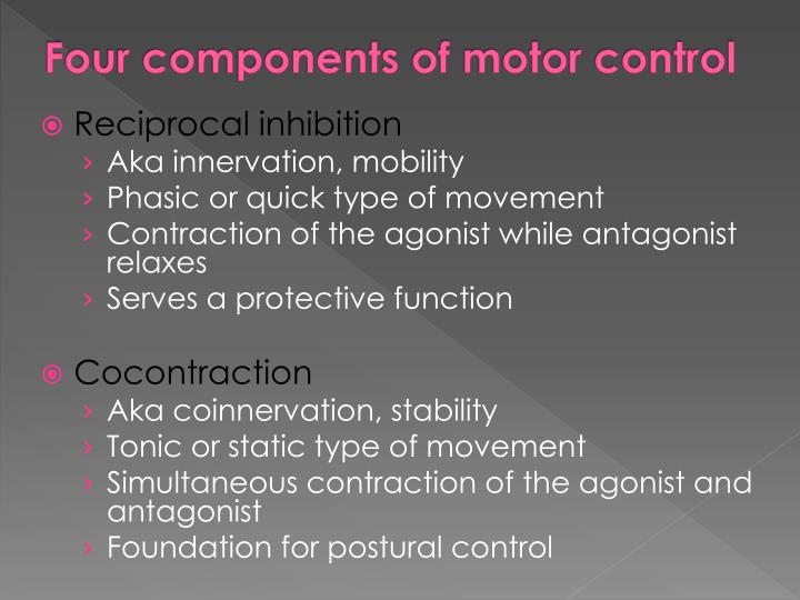 PPT - Approaches to therapeutic exercise: * Rood Approach ...
